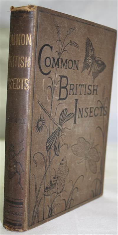 Common British Insects: Selected from the typical Beetles, Moths, and ...