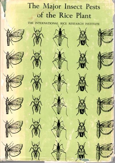 The Major Insects Pests of the Rice Plant by International Rice ...