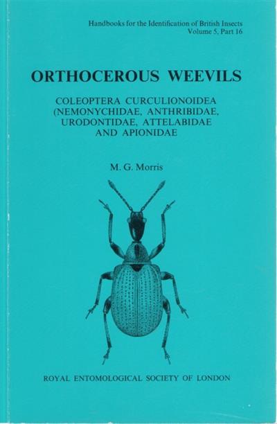 Orthocerous Weevils: Coleoptera Curculionoidea (Nemonychidae ...