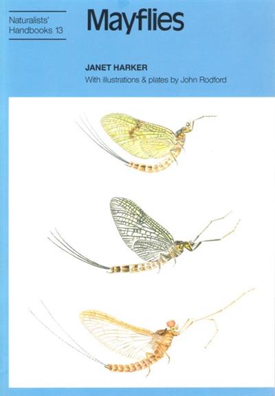 Mayflies by Harker, J.