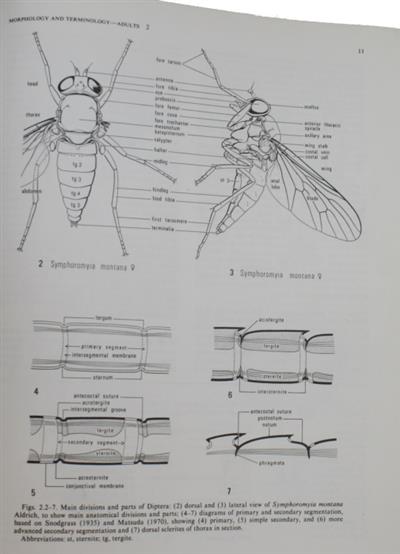 Manual of Nearctic Diptera. Vol. 1 + 2 by Mcalpine, J.; Peterson, B.v ...