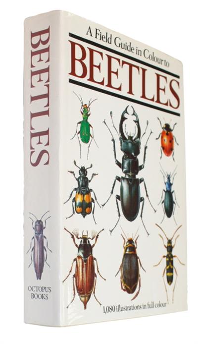 A Field Guide in Colour to Beetles by Harde, K.w.