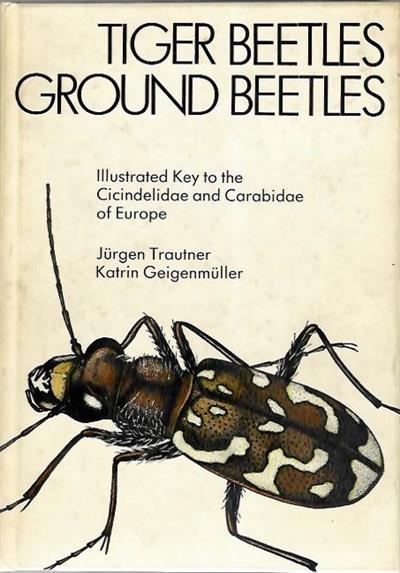 Tiger Beetles Ground Beetles: Illustrated Key to the Cicindelidae and ...
