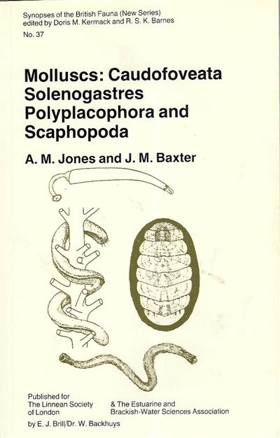 Molluscs: Caudofoveata, Solengastres, Polyplacophora and Scaphopoda ...