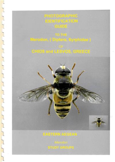 Photographic Identification Guide to the Merodon (Diptera, Syrphidae ...